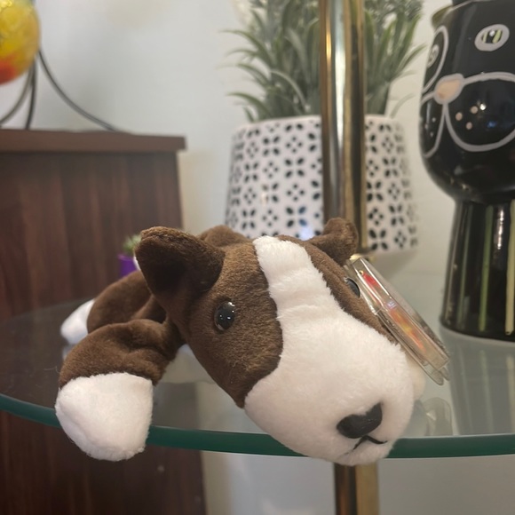 Ty | Toys | Ty Beanie Baby Bruno The Bull Terrier | Poshmark